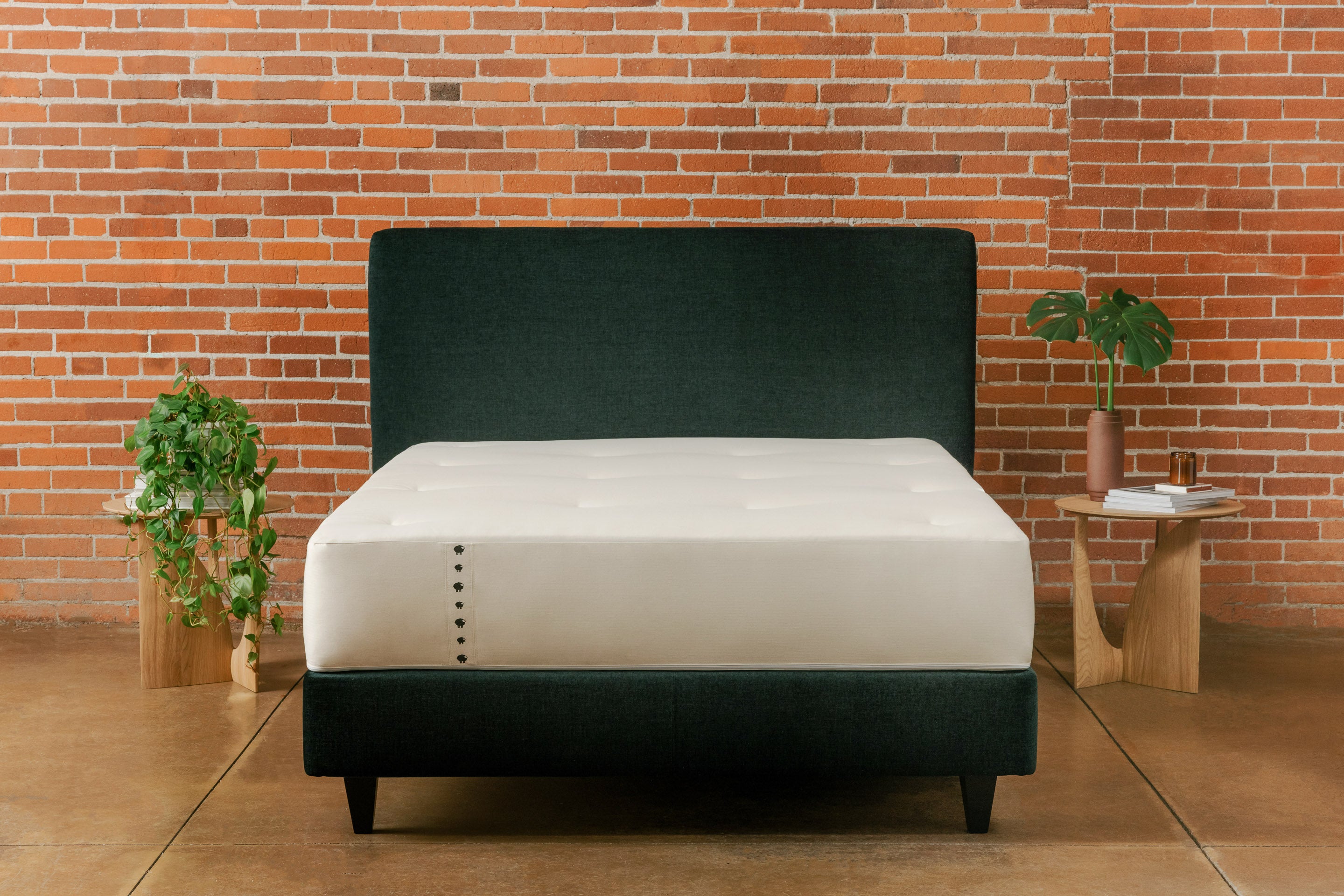 Devon | Natural Hybrid Mattress | Black Sheep Mattress Company